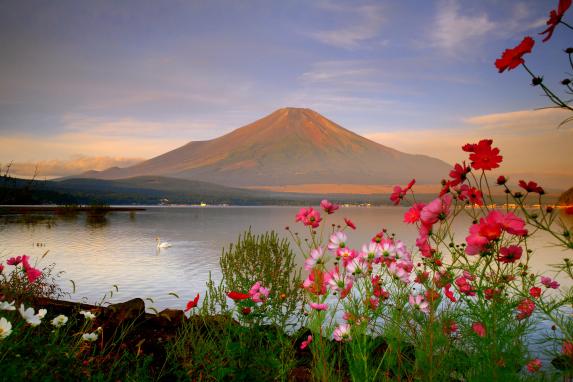 About Yamanakako | Highlights | Visit Lake Yamanaka Area -Official ...