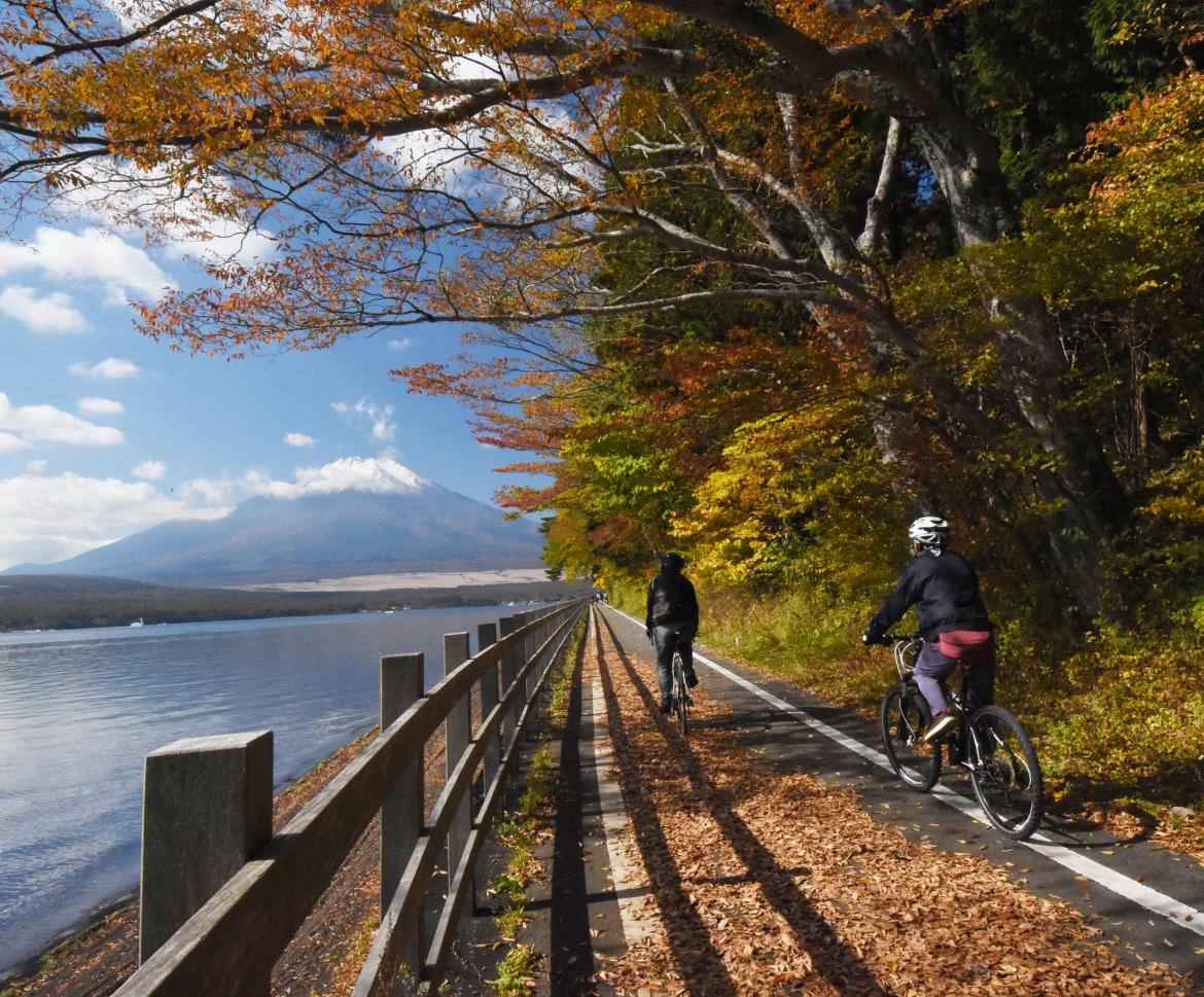 About Yamanakako | Highlights | Visit Lake Yamanaka Area -Official ...