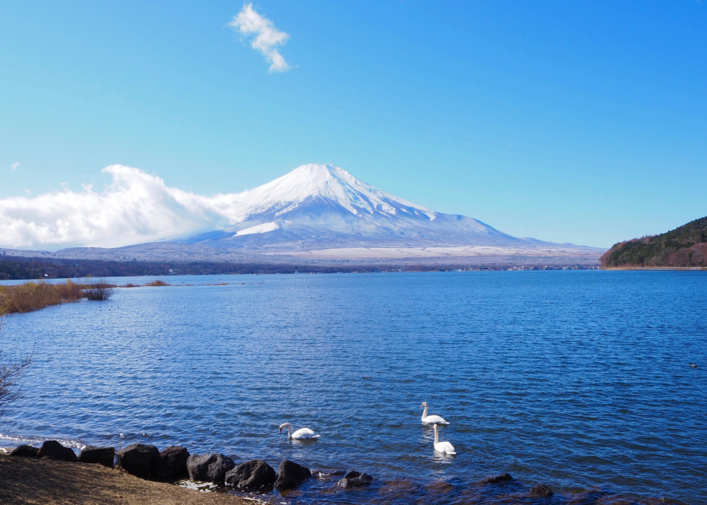 Oshino Hakkai | What to See & Do | Visit Lake Yamanaka Area -Official ...